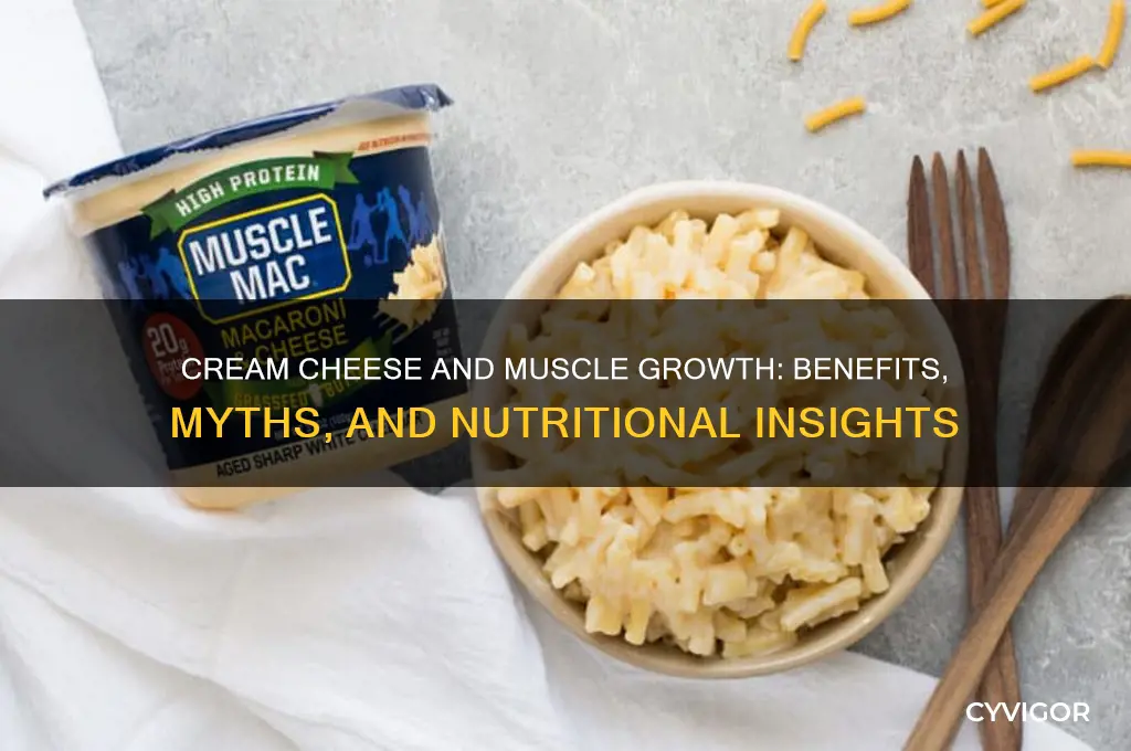 Cream Cheese And Muscle Growth: Benefits, Myths, And Nutritional ...