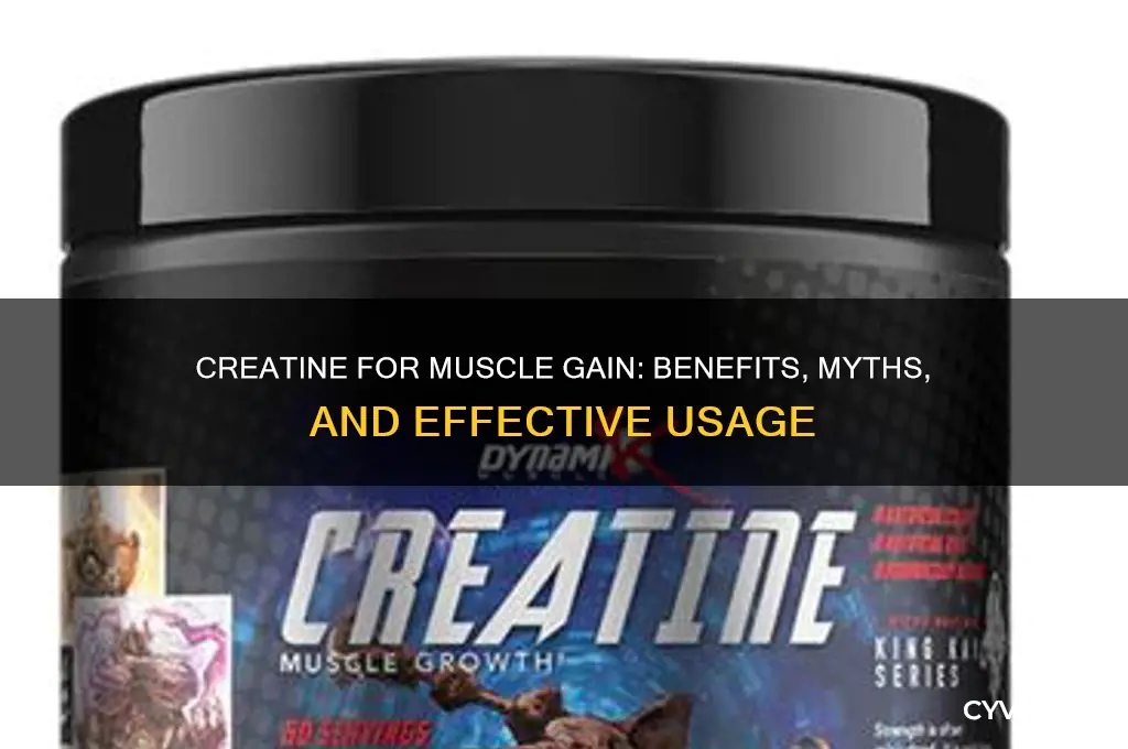 Creatine For Muscle Gain: Benefits, Myths, And Effective Usage | CyVigor