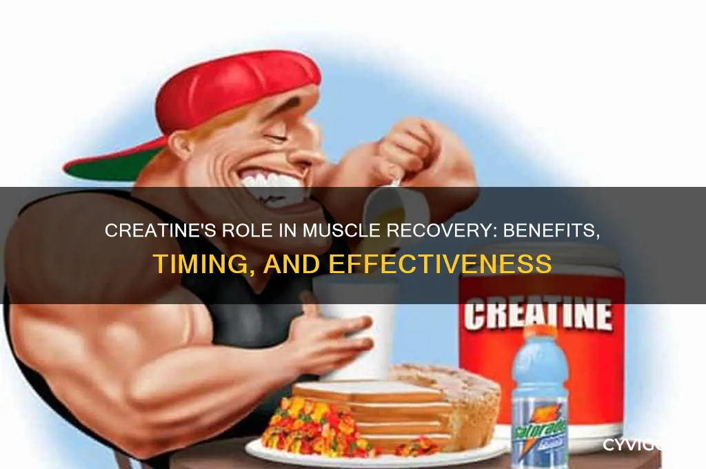 Creatine's Role In Muscle Recovery: Benefits, Timing, And Effectiveness ...