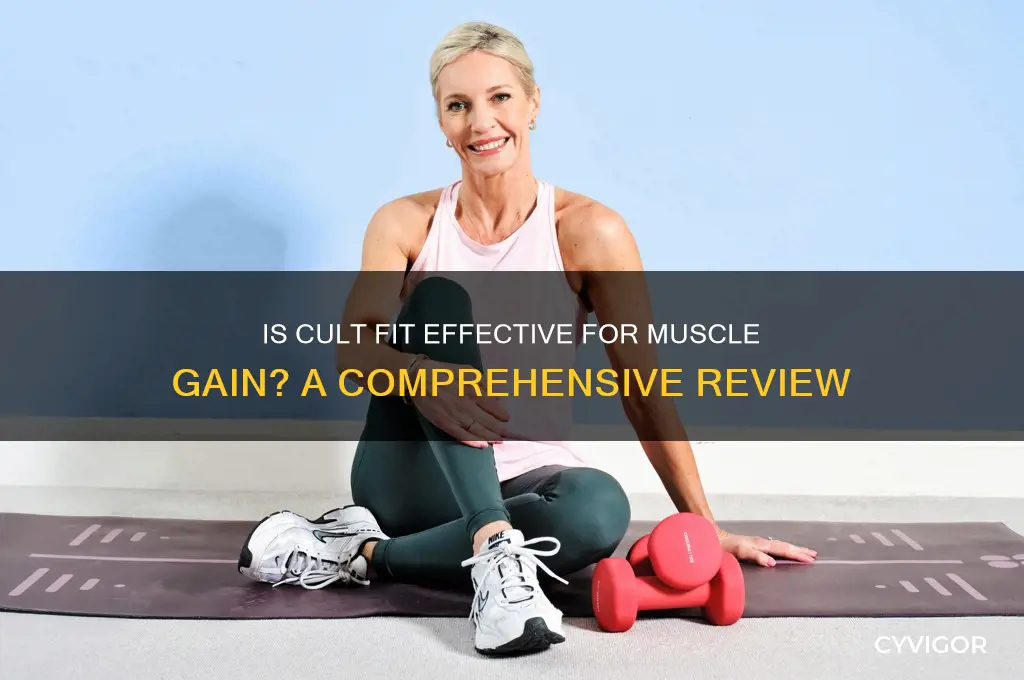 Is Cult Fit Effective For Muscle Gain? A Comprehensive Review | CyVigor