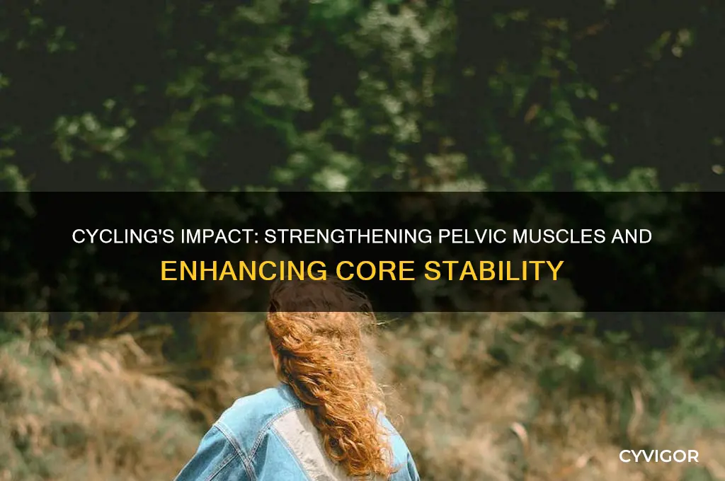 Cycling's Impact: Strengthening Pelvic Muscles And Enhancing Core ...