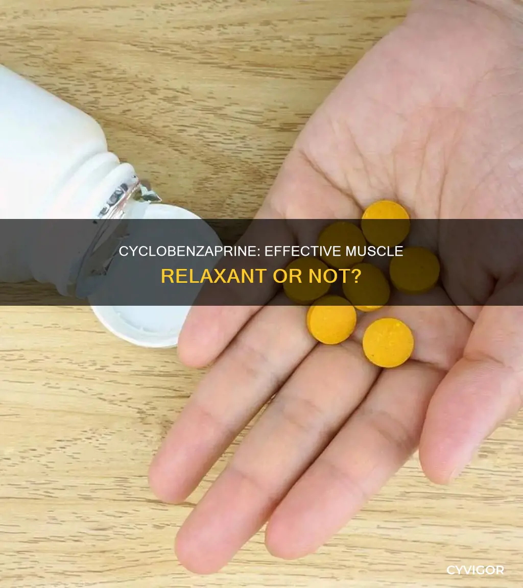 Cyclobenzaprine: Effective Muscle Relaxant Or Not? | CyVigor