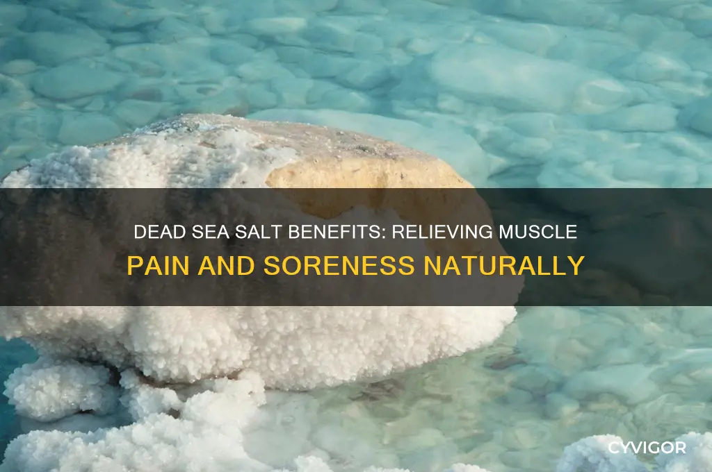 Dead Sea Salt Benefits: Relieving Muscle Pain And Soreness Naturally ...