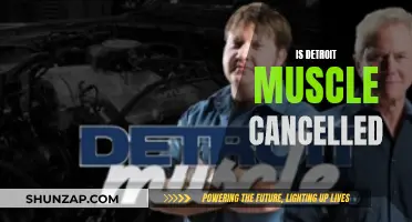 Understanding Muscle Adhesions: Causes, Symptoms, And Treatment Options ...