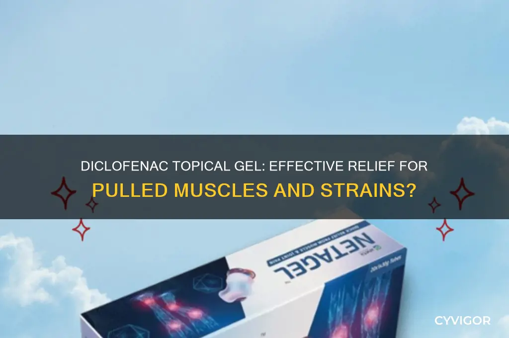Diclofenac Topical Gel: Effective Relief For Pulled Muscles And Strains ...
