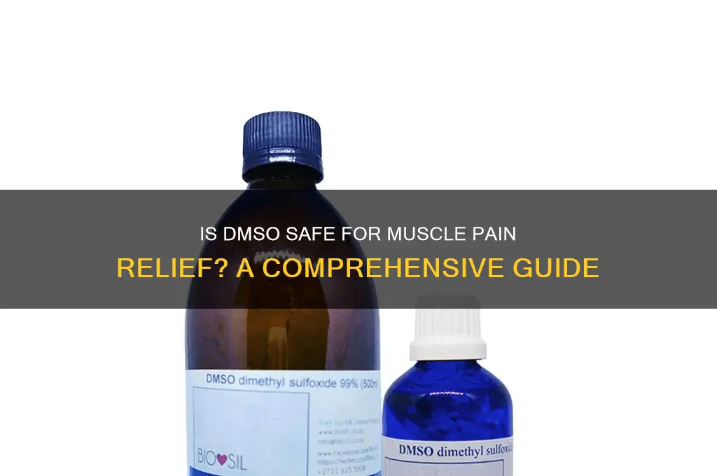 Is Dmso Safe For Muscle Pain Relief? A Comprehensive Guide | CyVigor