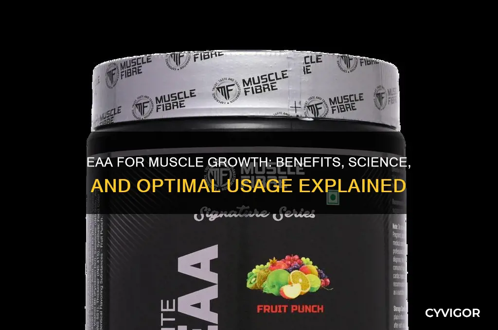 Eaa For Muscle Growth: Benefits, Science, And Optimal Usage Explained ...