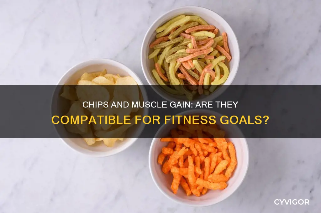 Chips And Muscle Gain: Are They Compatible For Fitness Goals? | CyVigor