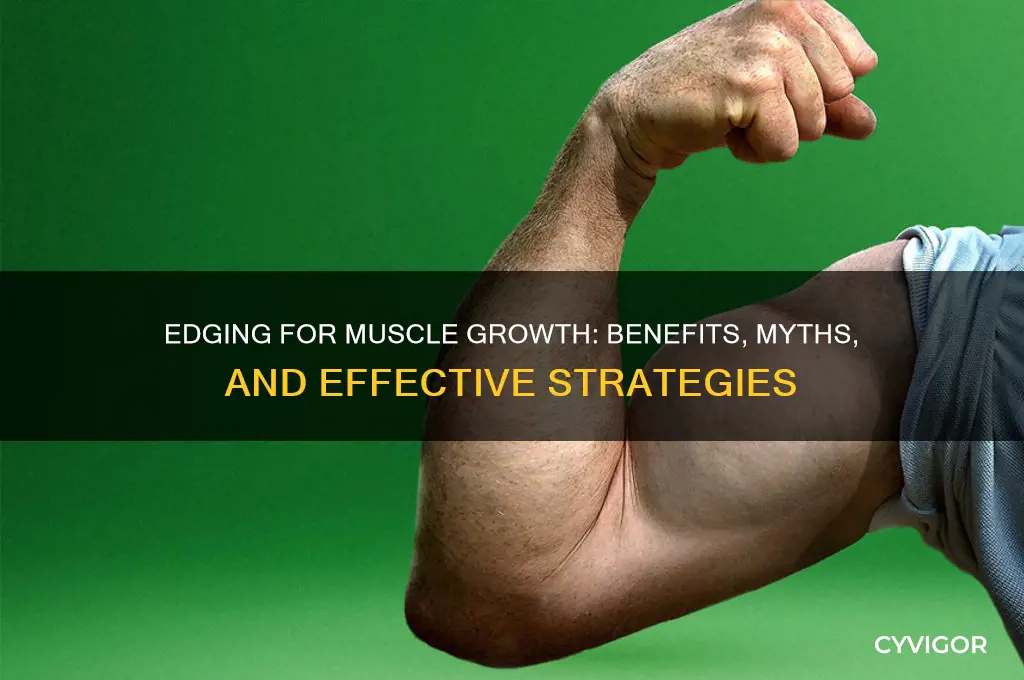Edging For Muscle Growth: Benefits, Myths, And Effective Strategies ...
