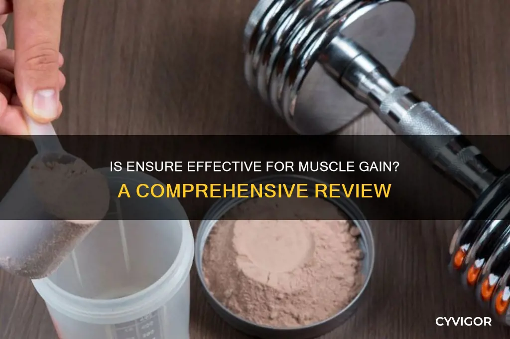 Is Ensure Effective For Muscle Gain? A Comprehensive Review | CyVigor