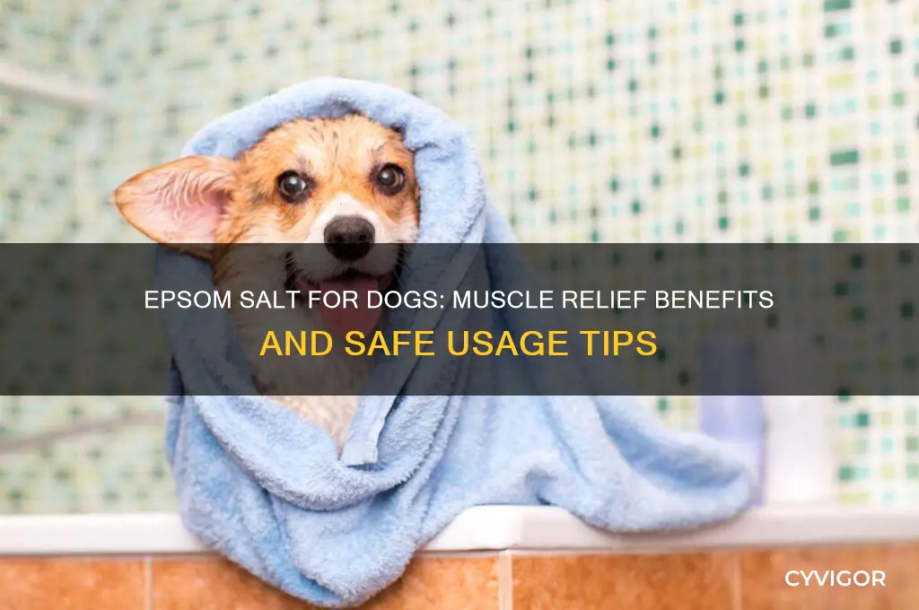 Epsom Salt For Dogs: Muscle Relief Benefits And Safe Usage Tips | CyVigor