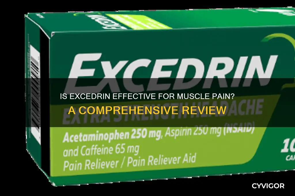 Is Excedrin Effective For Muscle Pain? A Comprehensive Review | CyVigor