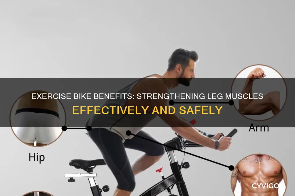 Exercise Bike Benefits: Strengthening Leg Muscles Effectively And ...
