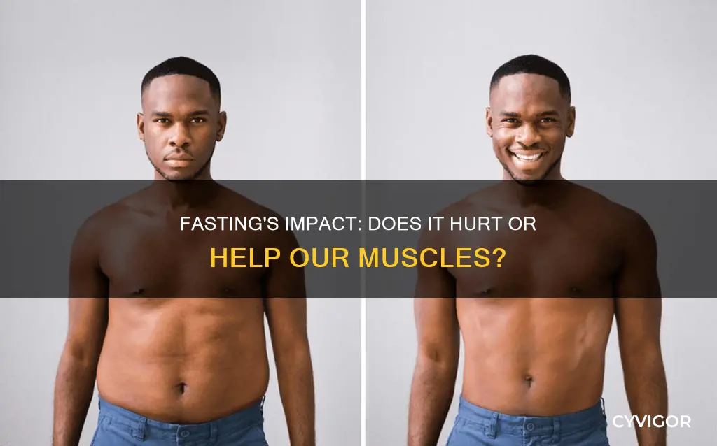 Fasting's Impact: Does It Hurt Or Help Our Muscles? | CyVigor