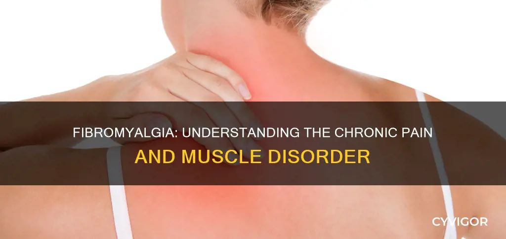 Fibromyalgia: Understanding The Chronic Pain And Muscle Disorder | CyVigor