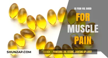 Heat Therapy For Back Muscle Pain: Benefits And Best Practices | CyVigor