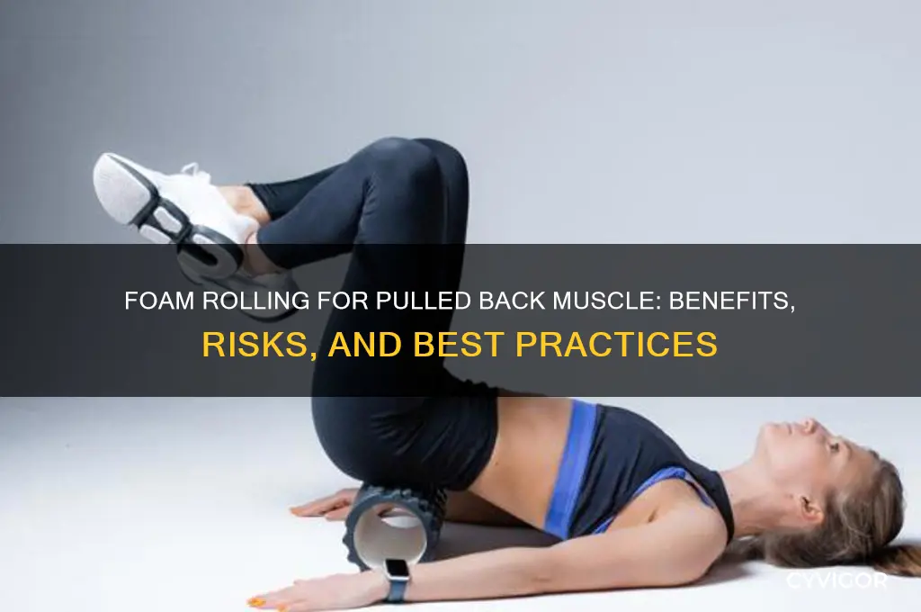 Foam Rolling For Pulled Back Muscle: Benefits, Risks, And Best ...