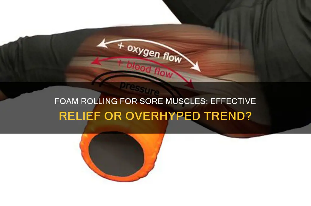 Foam Rolling For Sore Muscles: Effective Relief Or Overhyped Trend ...