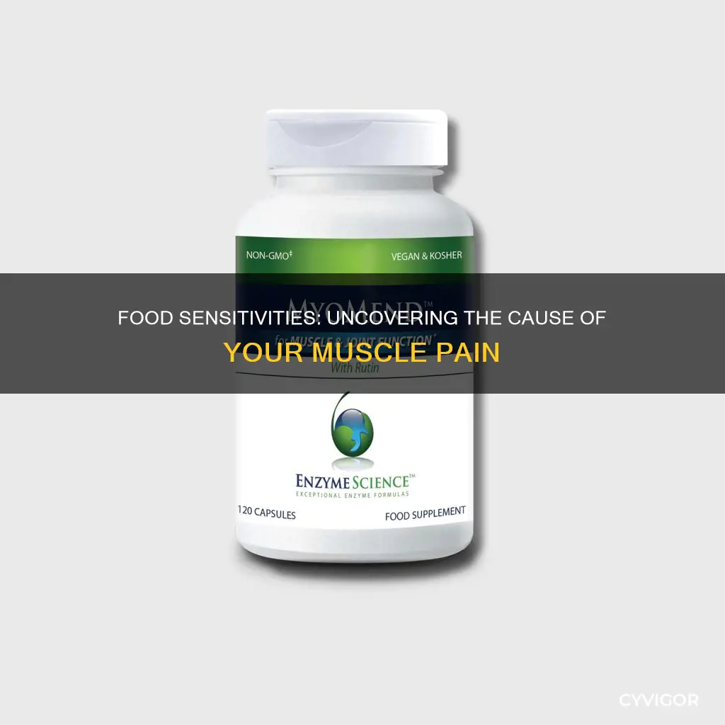 Food Sensitivities: Uncovering The Cause Of Your Muscle Pain | CyVigor
