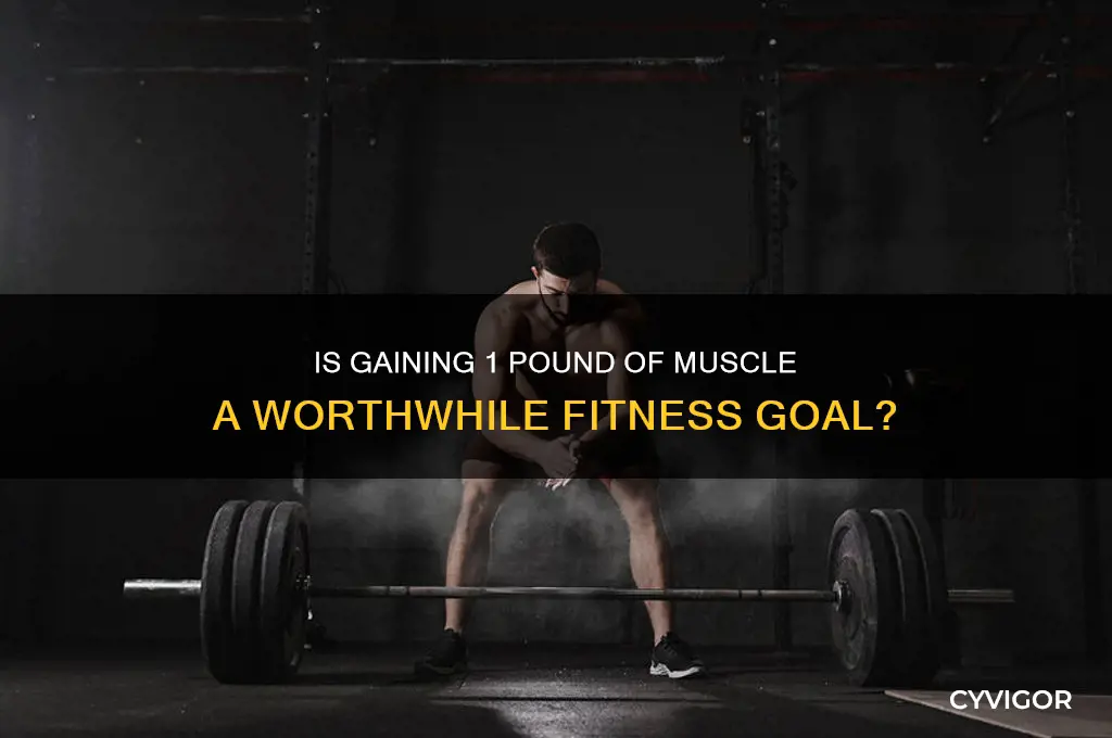 Is Gaining 1 Pound Of Muscle A Worthwhile Fitness Goal? | CyVigor