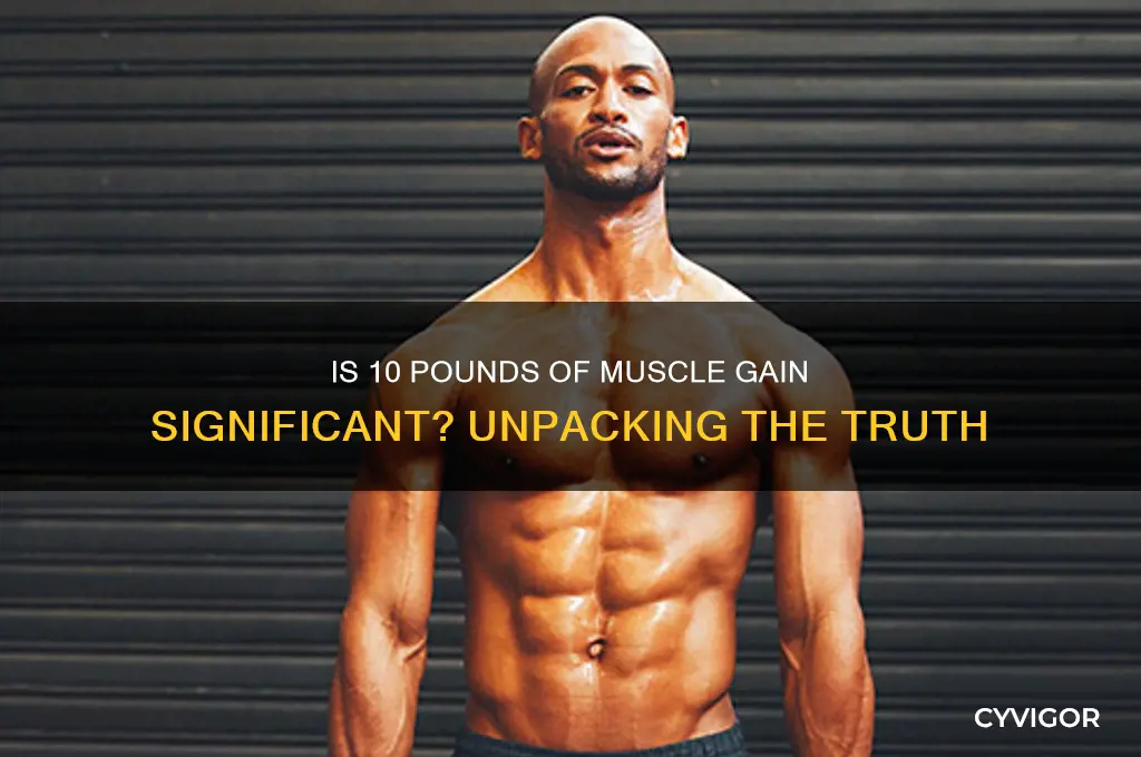 Is 10 Pounds Of Muscle Gain Significant? Unpacking The Truth | CyVigor