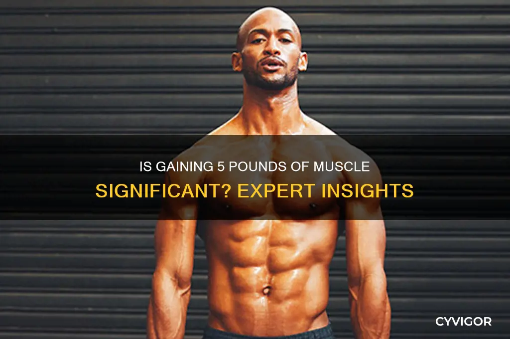 Is Gaining 5 Pounds Of Muscle Significant? Expert Insights | CyVigor