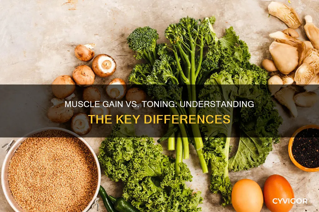 Muscle Gain Vs. Toning: Understanding The Key Differences | CyVigor