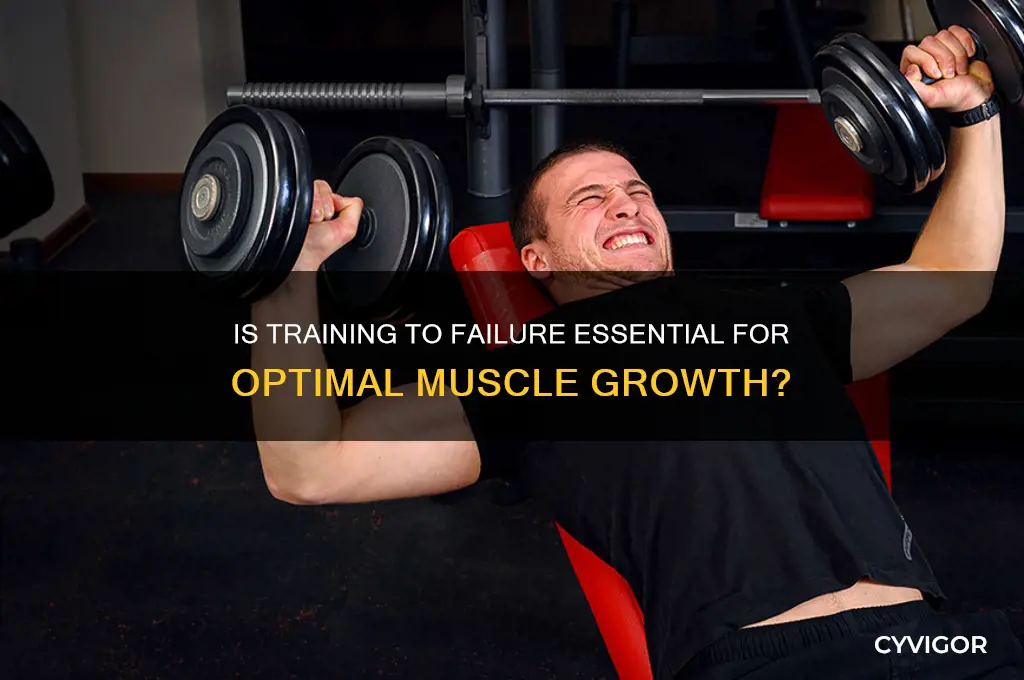 Is Training To Failure Essential For Optimal Muscle Growth? | CyVigor