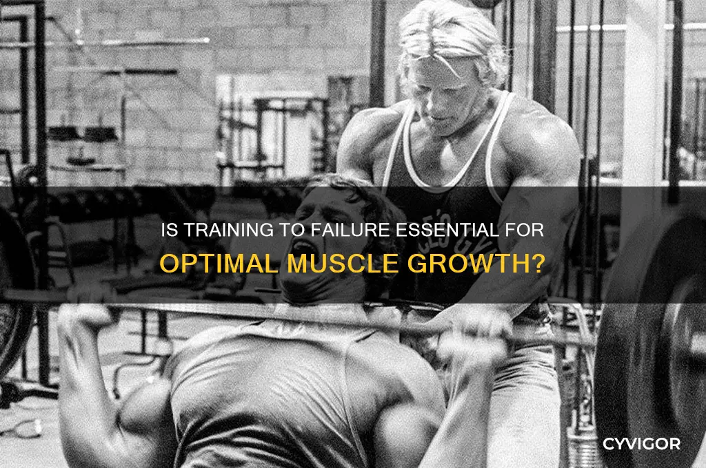 Is Training To Failure Essential For Optimal Muscle Growth? | CyVigor