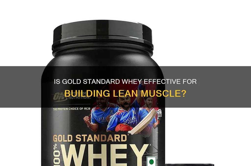 Is Gold Standard Whey Effective For Building Lean Muscle? | CyVigor