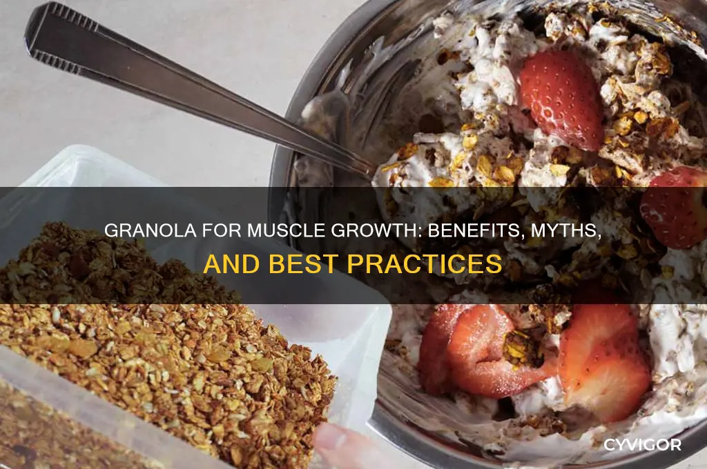 Granola For Muscle Growth: Benefits, Myths, And Best Practices | CyVigor