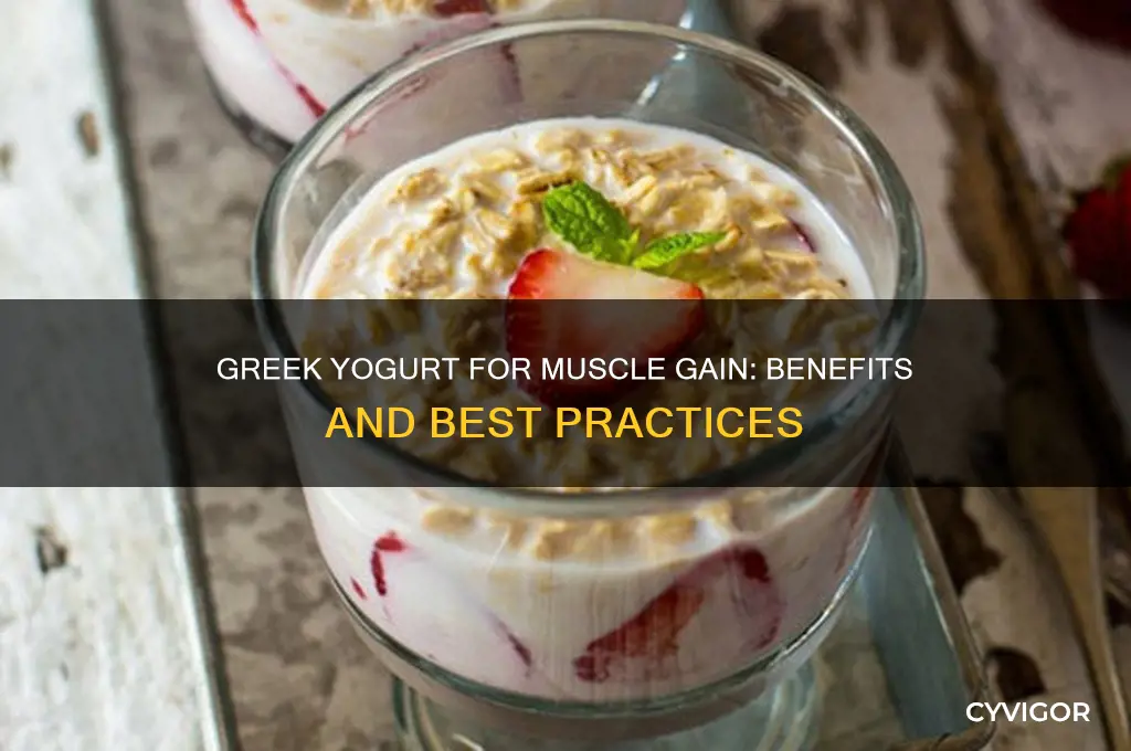 Greek Yogurt For Muscle Gain: Benefits And Best Practices | CyVigor