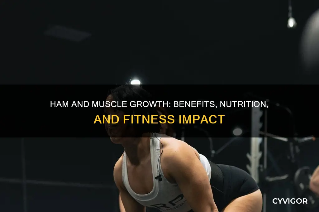 Ham And Muscle Growth: Benefits, Nutrition, And Fitness Impact | CyVigor