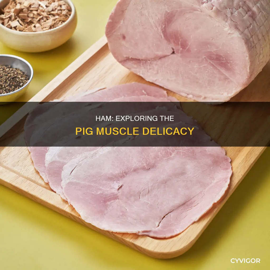 Ham: Exploring The Pig Muscle Delicacy | CyVigor