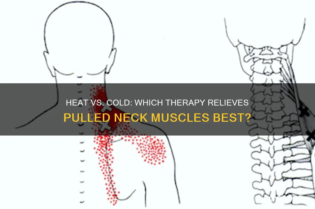 Heat Vs. Cold: Which Therapy Relieves Pulled Neck Muscles Best? | CyVigor