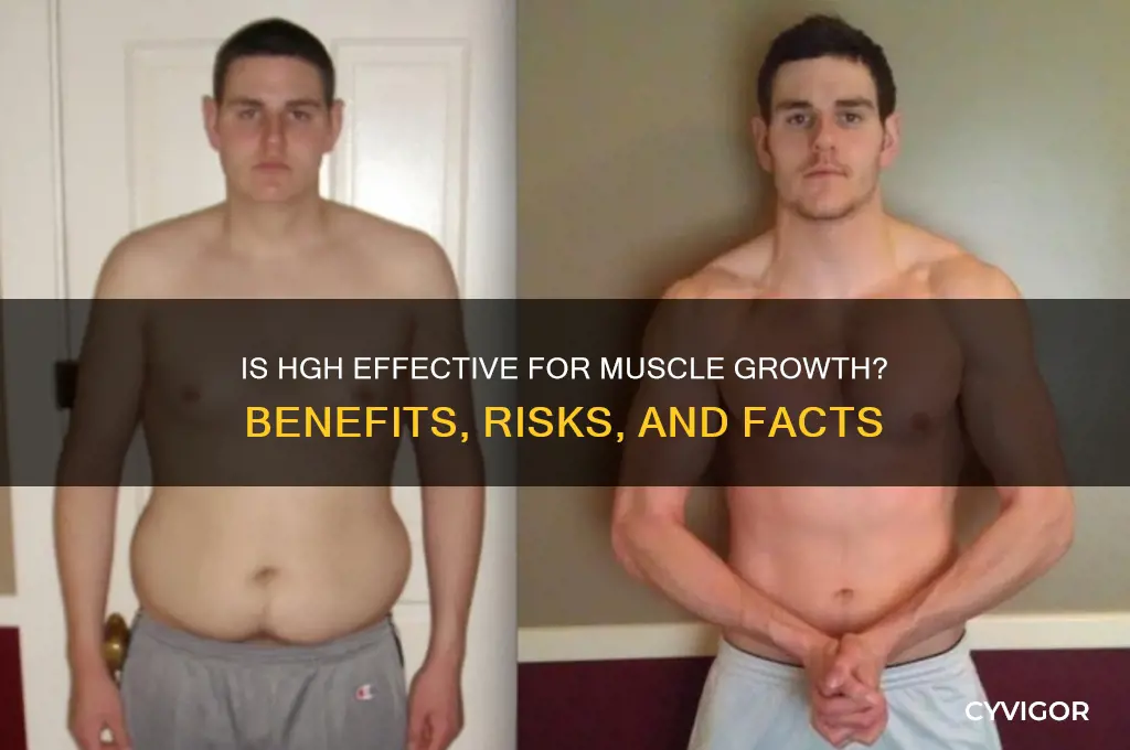 Is Hgh Effective For Muscle Growth? Benefits, Risks, And Facts | CyVigor