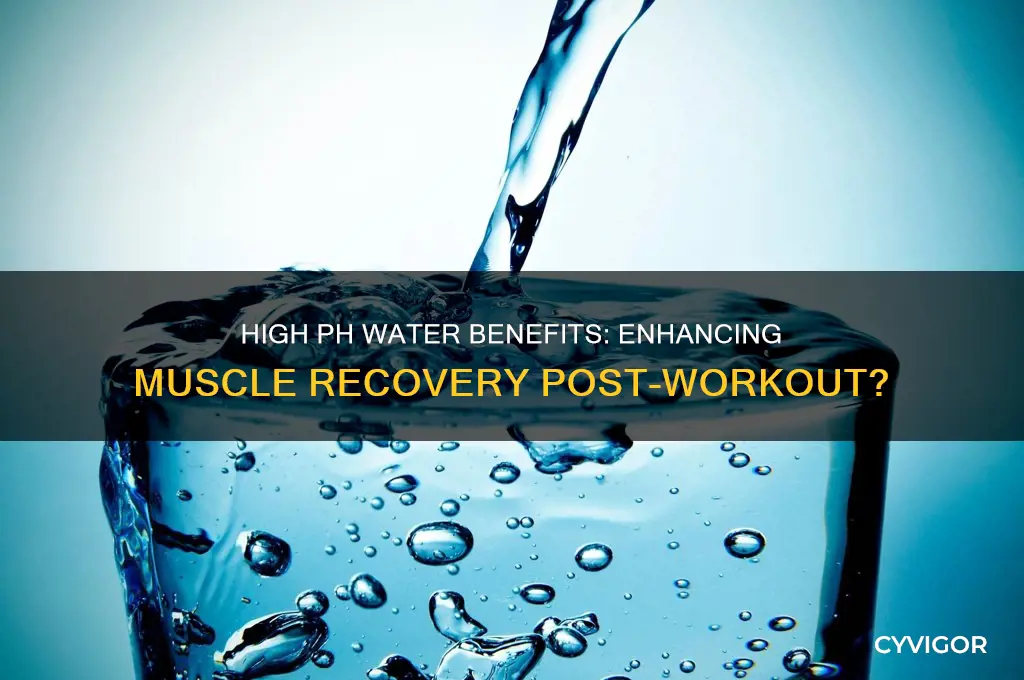 High Ph Water Benefits: Enhancing Muscle Recovery Post-Workout? | CyVigor
