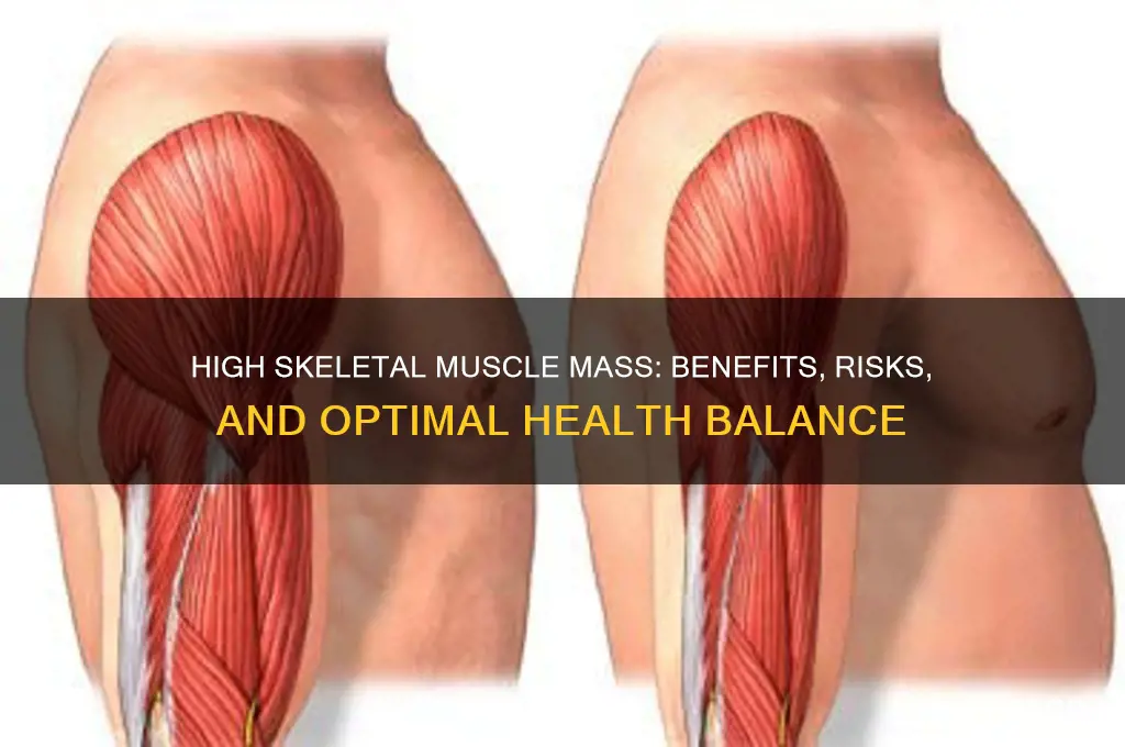 High Skeletal Muscle Mass: Benefits, Risks, And Optimal Health Balance ...