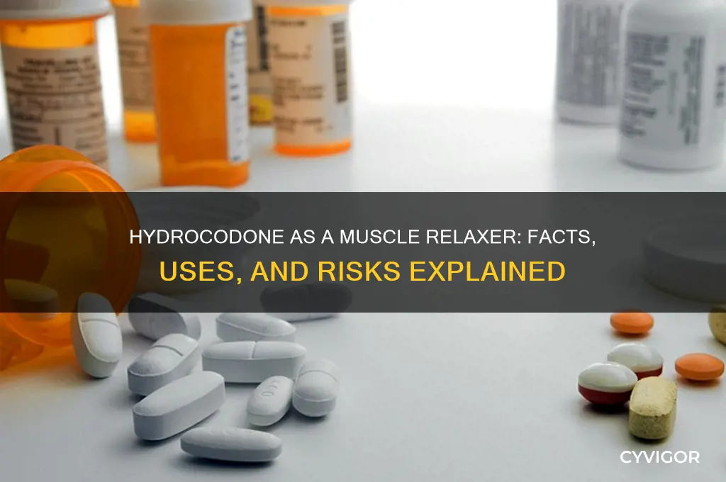 Hydrocodone As A Muscle Relaxer: Facts, Uses, And Risks Explained | CyVigor