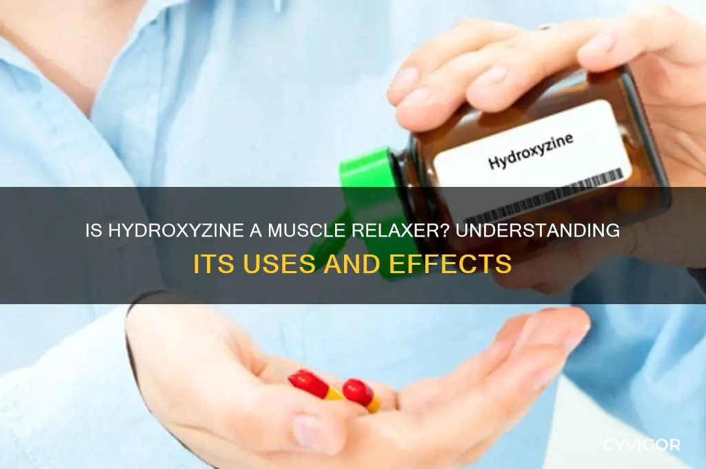 Is Hydroxyzine A Muscle Relaxer? Understanding Its Uses And Effects ...