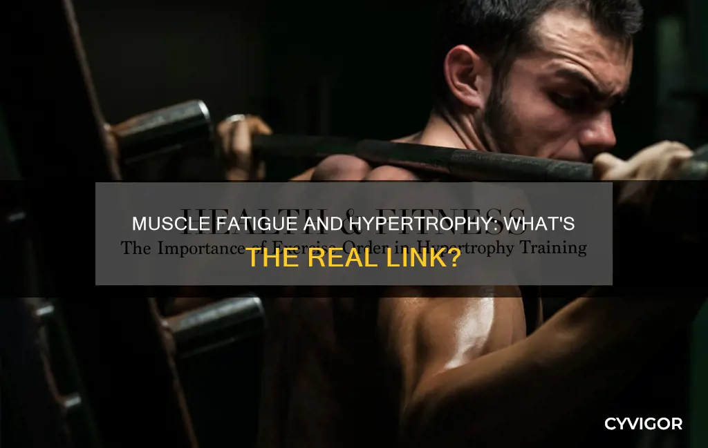 Muscle Fatigue And Hypertrophy: What's The Real Link? | CyVigor
