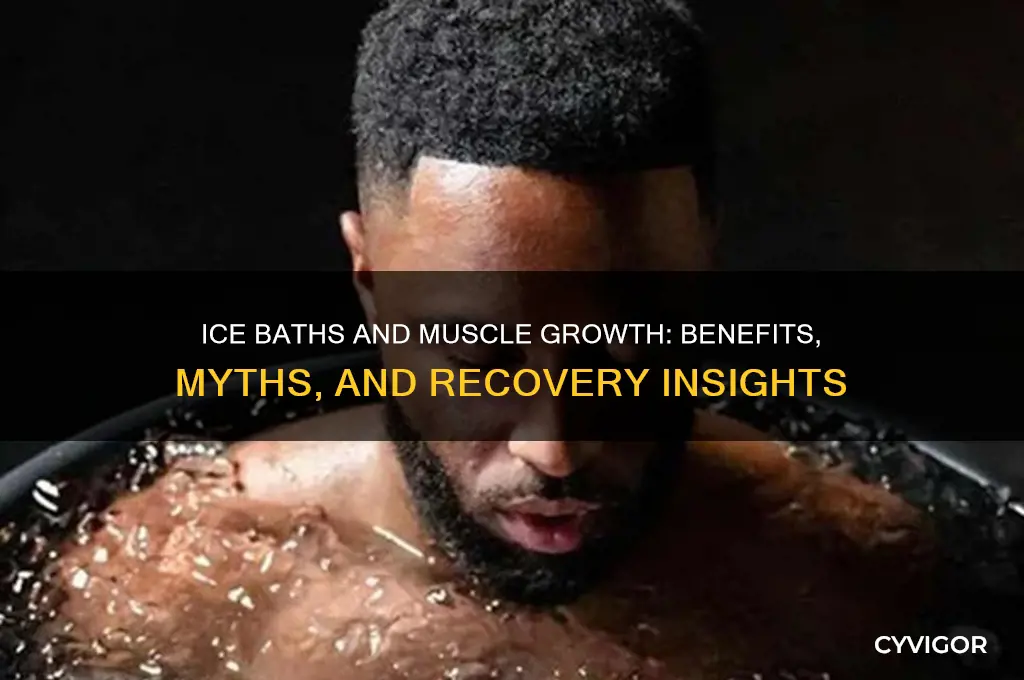 Ice Baths And Muscle Growth: Benefits, Myths, And Recovery Insights ...