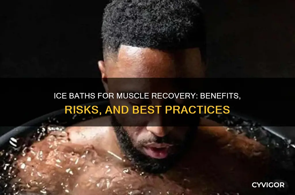Ice Baths For Muscle Recovery: Benefits, Risks, And Best Practices ...