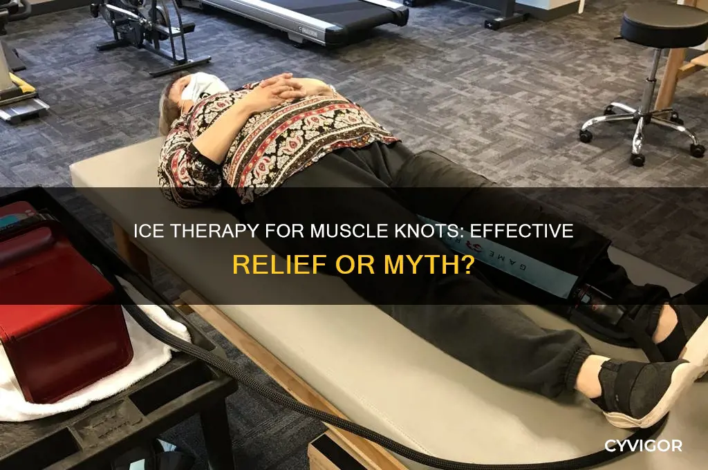 Ice Therapy For Muscle Knots: Effective Relief Or Myth? | CyVigor