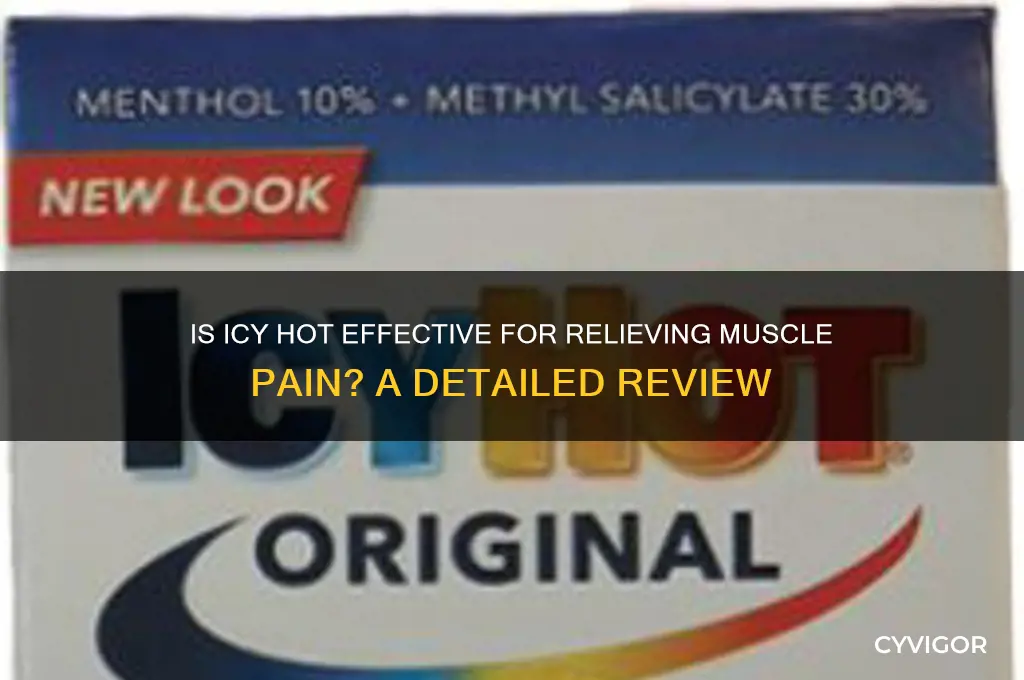 Is Icy Hot Effective For Relieving Muscle Pain? A Detailed Review | CyVigor