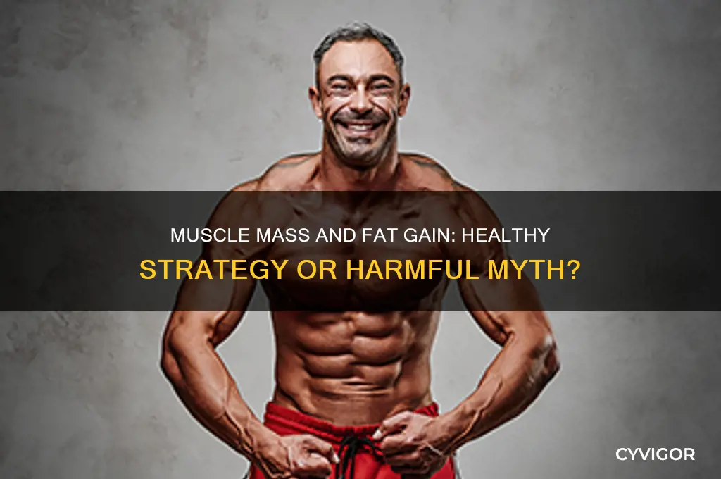 Muscle Mass And Fat Gain: Healthy Strategy Or Harmful Myth? | CyVigor
