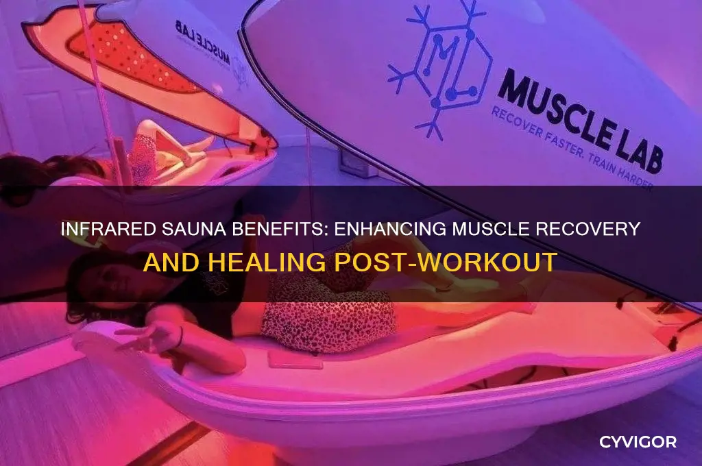 Infrared Sauna Benefits: Enhancing Muscle Recovery And Healing Post ...