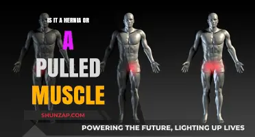 Pulled Muscle Or Liver Pain: How To Tell The Difference | CyVigor