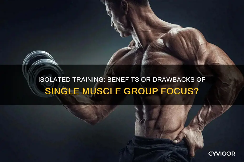 Isolated Training: Benefits Or Drawbacks Of Single Muscle Group Focus ...