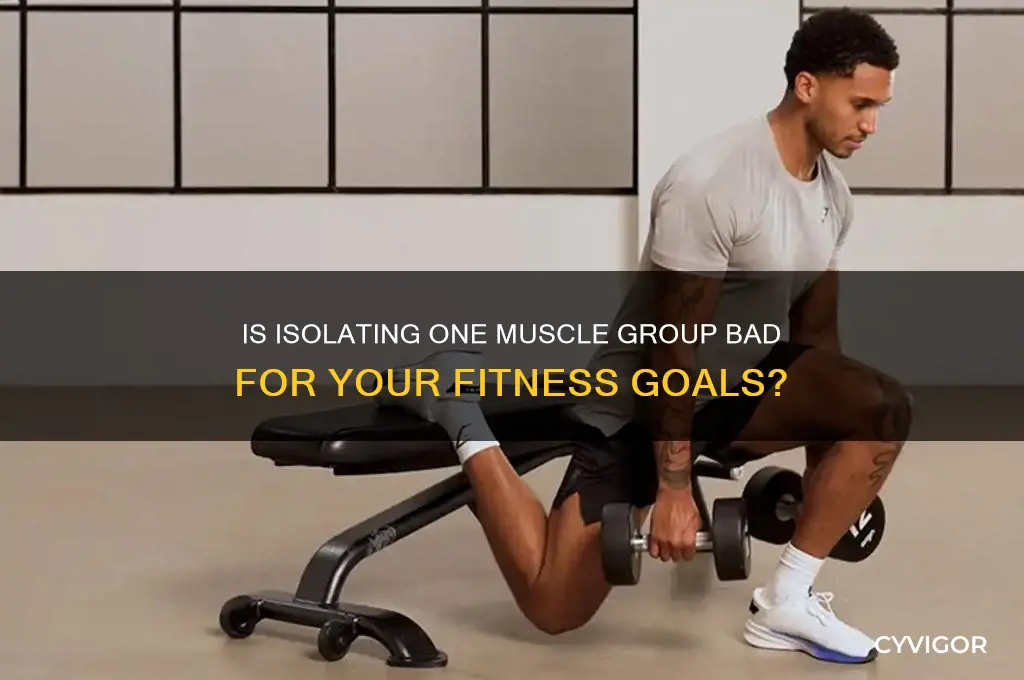 Is Isolating One Muscle Group Bad For Your Fitness Goals? | CyVigor